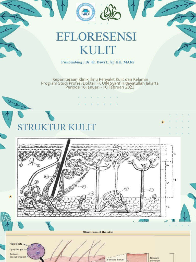 Morfologi Kulit | PDF