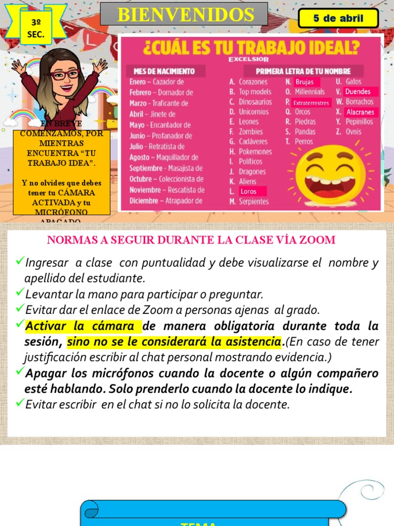 Normas para Clases por Zoom: Uso de Comas | PDF