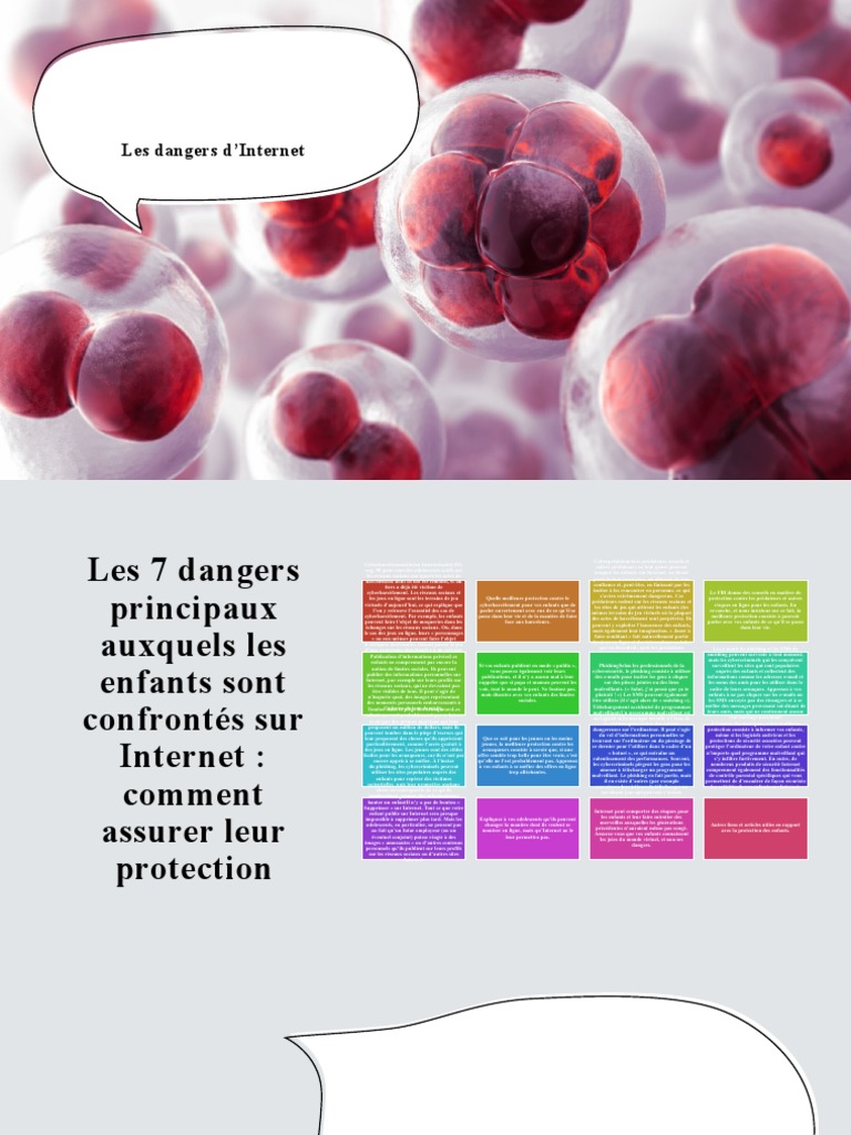 Les Dangers D'internet | PDF | Cyberharcèlement | Informatique