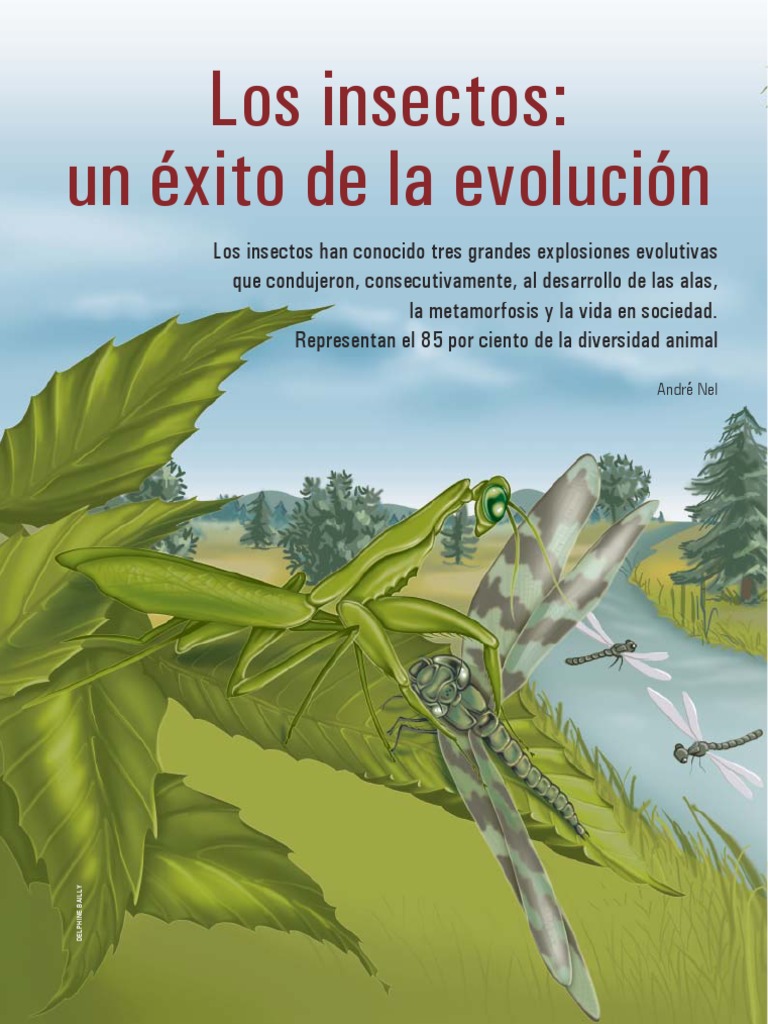 Los Insectos Exito Evolucion 2003 | PDF | Insectos | Cretáceo