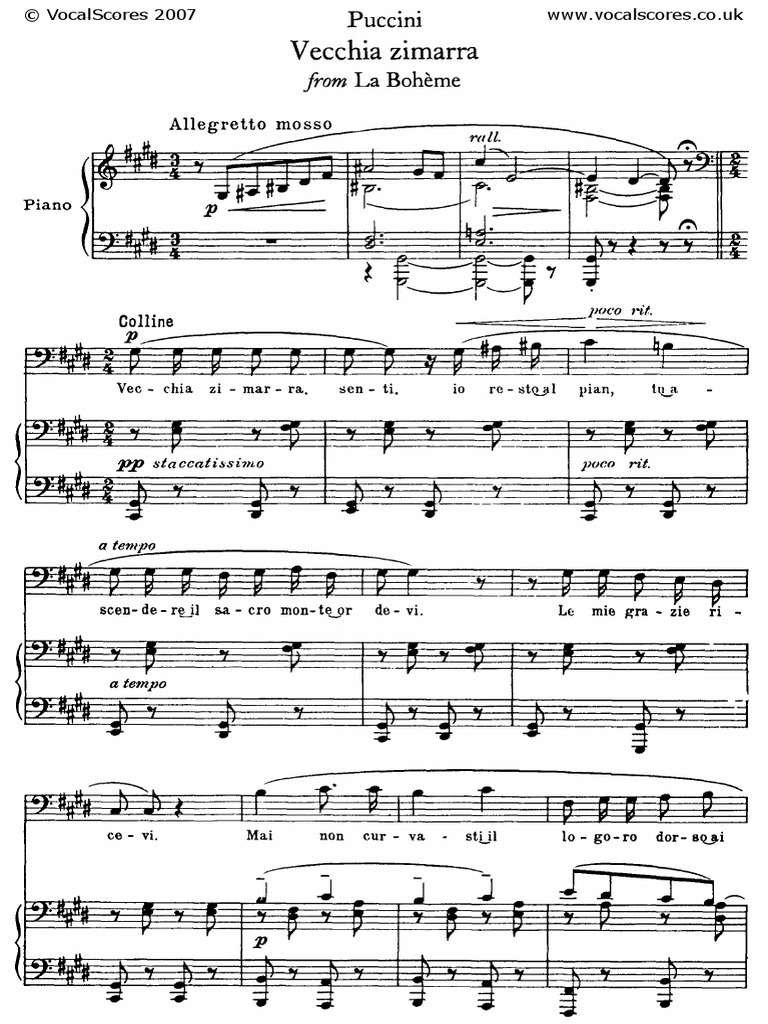 Vecchia Zimarra Senti, Colline, Bohème | PDF