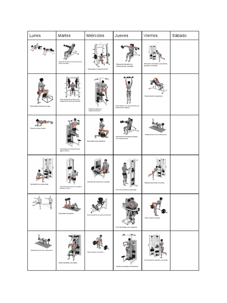 Tabla Gimnasio | PDF