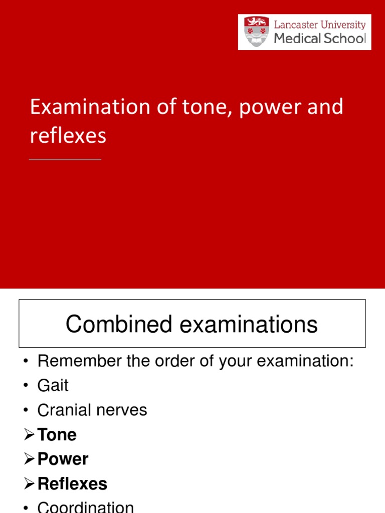Tone, Power Reflexes - Edited March 2022 (JMS) | PDF | Anatomical Terms ...