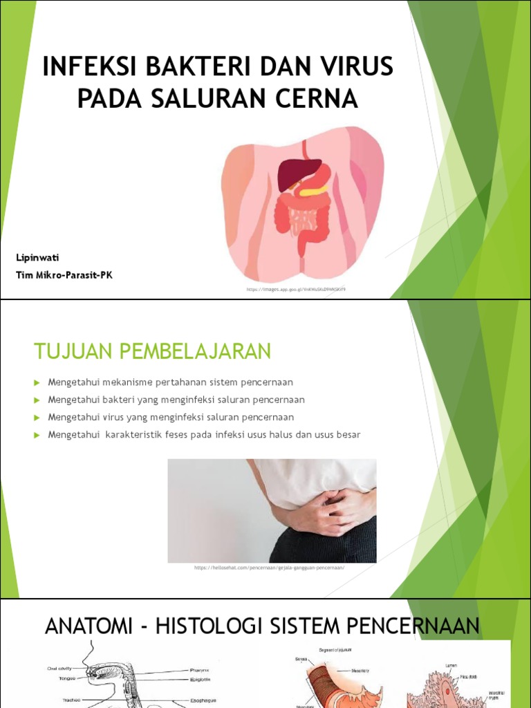 Blok. 3.1 INFEKSI BAKTERI DAN VIRUS PADA SALURAN CERNA (Edited) | PDF