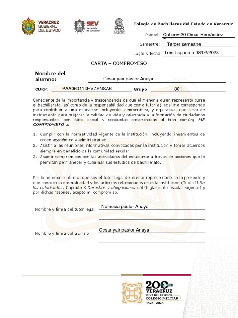 Carta Compromiso | PDF