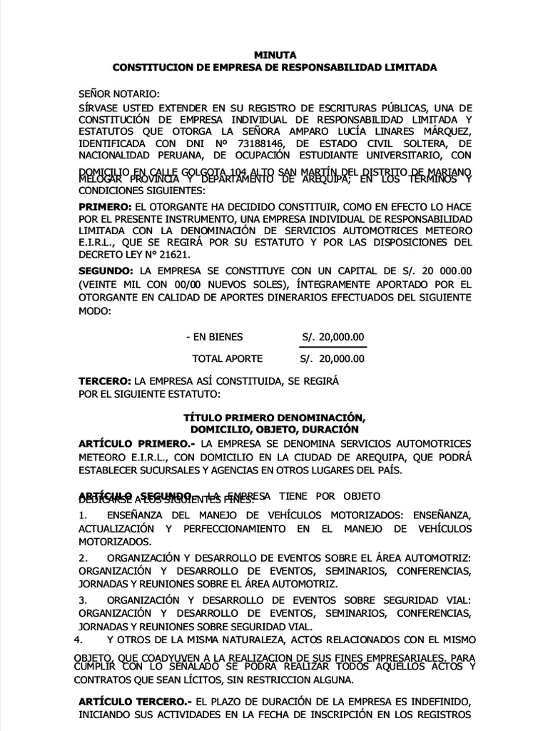 Modelo de Minuta de Constitucion de Eirl | PDF