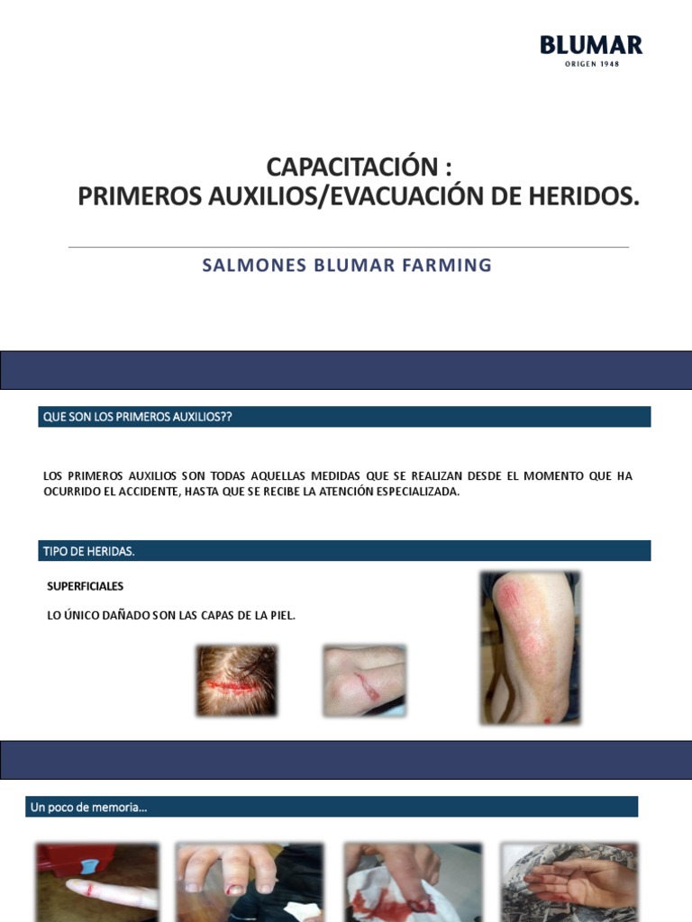 Zafarrancho Primeros Auxilios y Ev. de Heridos. | PDF | Quemar | Herida