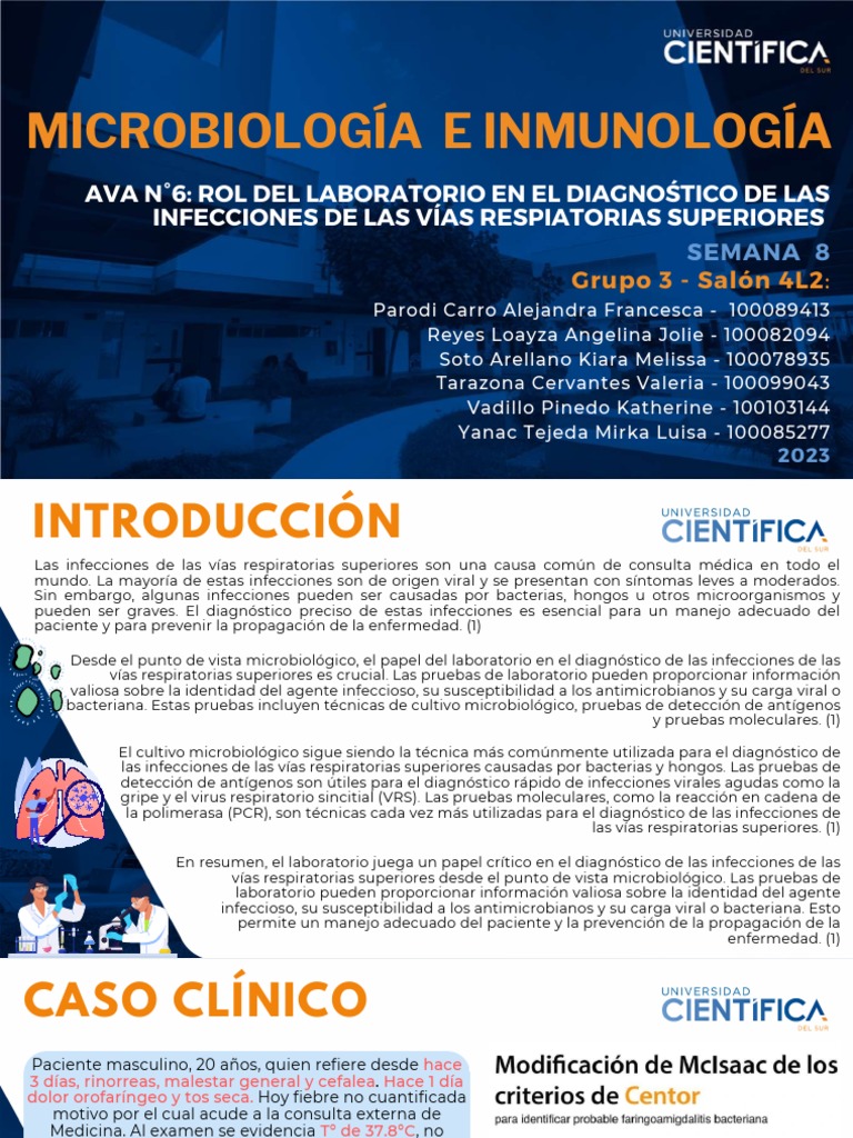 Ava 06 - 4L2 Grupo 3 | PDF | Infección | Virus