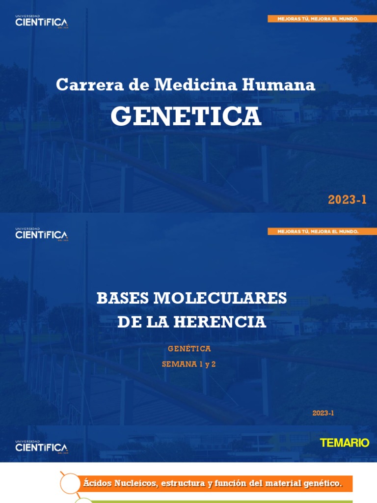Genética UCSUR - T1 - Bases Moleculares de La Herencia | PDF | Codigo genetico | Rna