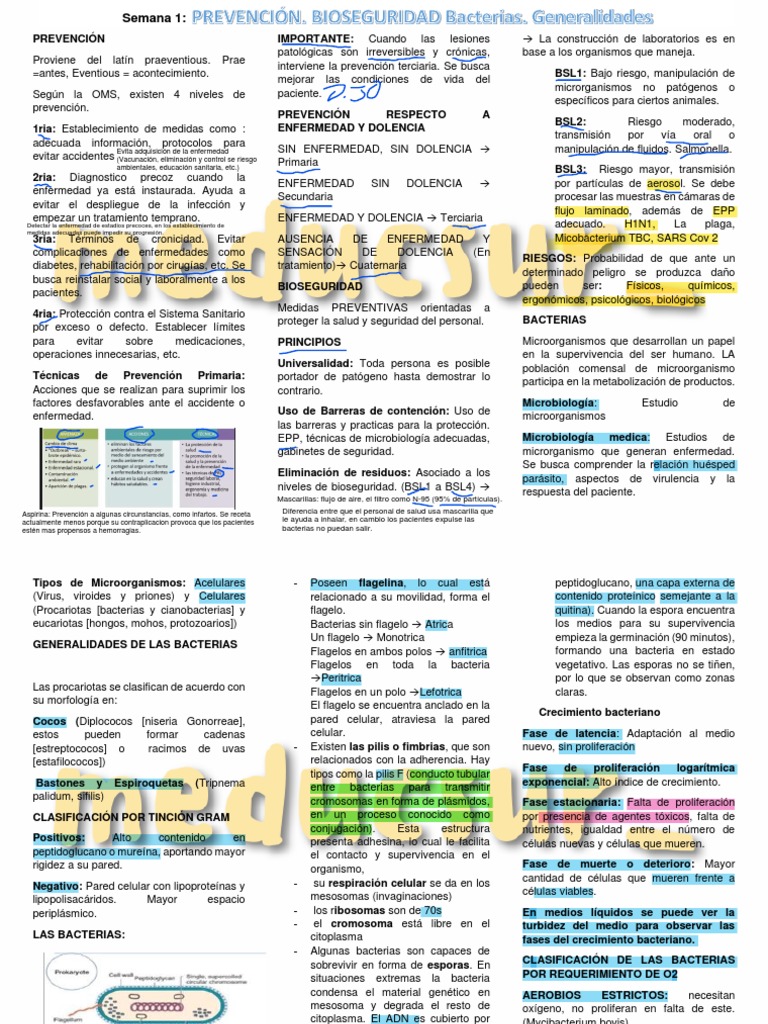 Resumen Microbiología - Teoría - 1er Bloque | PDF | Virus | Las bacterias