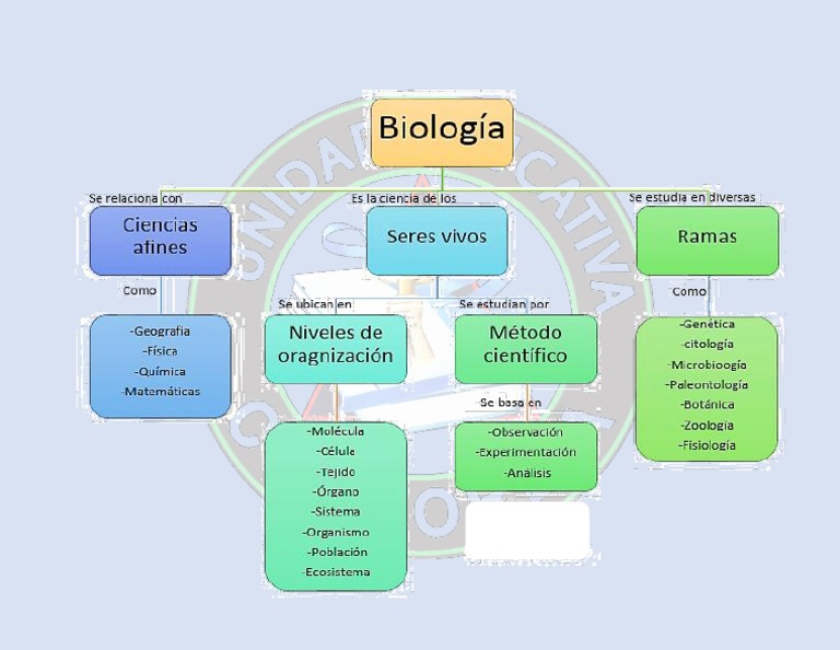 Mapa Conceptual Biología | PDF