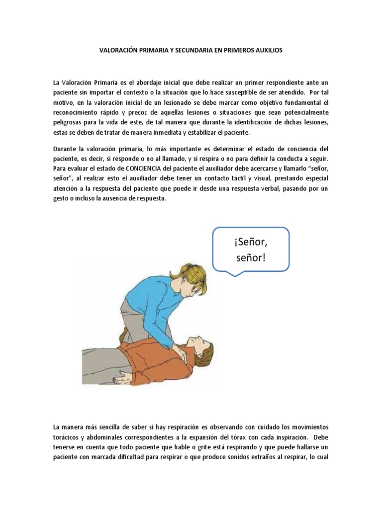 Valoración Primaria y Secundaria en Primeros Auxilios | PDF | Respiración | Medicina CLINICA