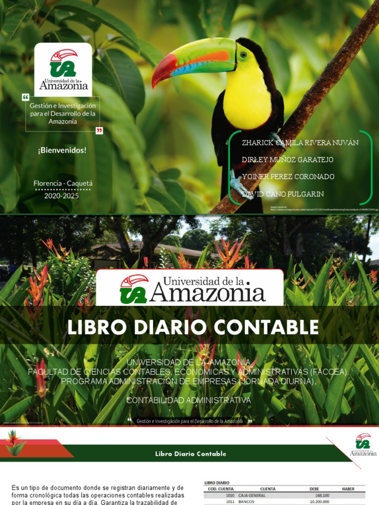 Libro Diario Contable | PDF | Contabilidad | Negocios económicos