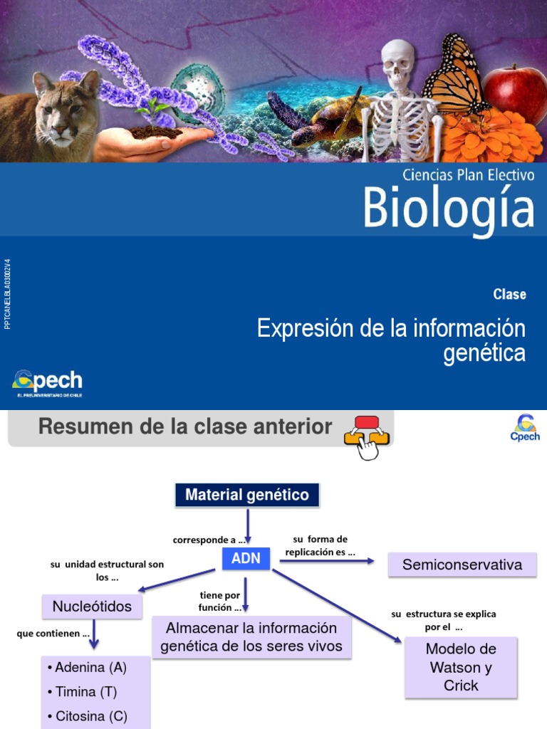 Clase 2 Expresión de La Información Genética (ELECTIVO ...