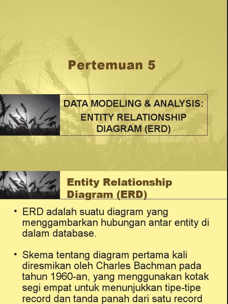Pertemuan 5: Data Modeling & Analysis: Entity Relationship Diagram (Erd) | PDF