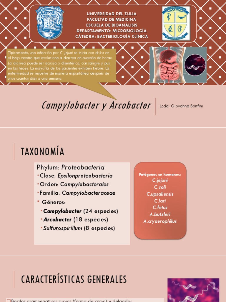 TEMA 12 1 Campylobacter y Arcobacter | PDF | Diarrea | Microbiología