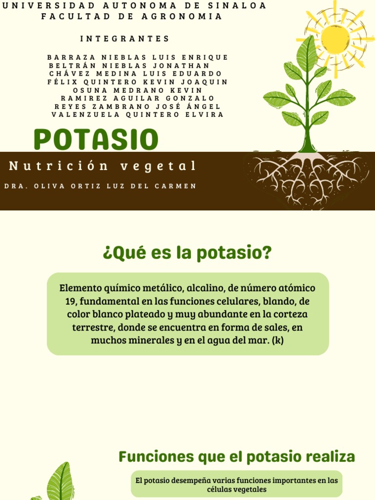 POTASIOS | PDF | Plantas | Potasio