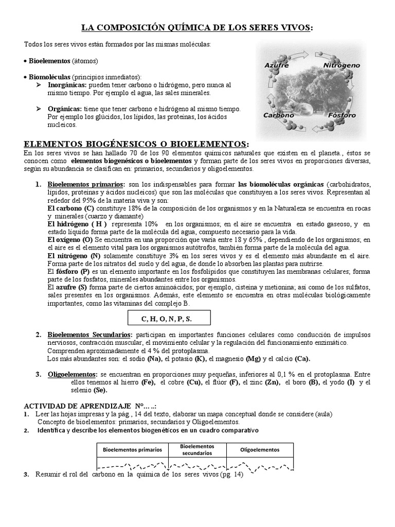 La Composición Química de Los Seres Vivos | PDF | Organismos | Biomoléculas