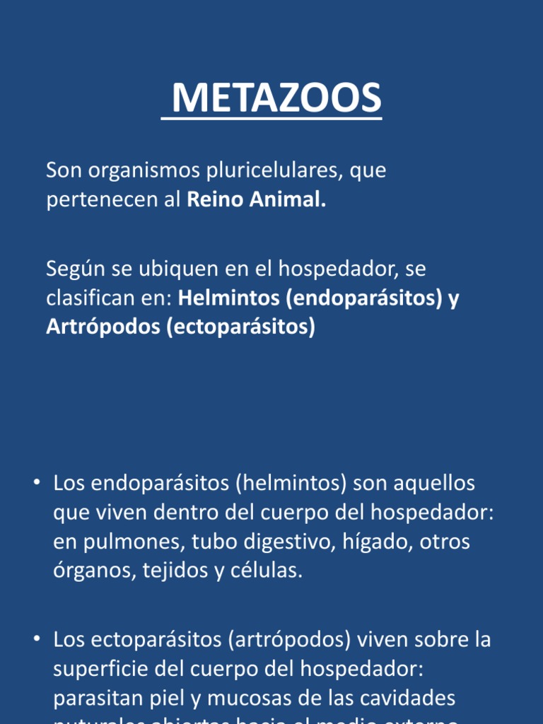 CLASE DE METAZOOS | PDF | Especialidades Medicas | Microbiología