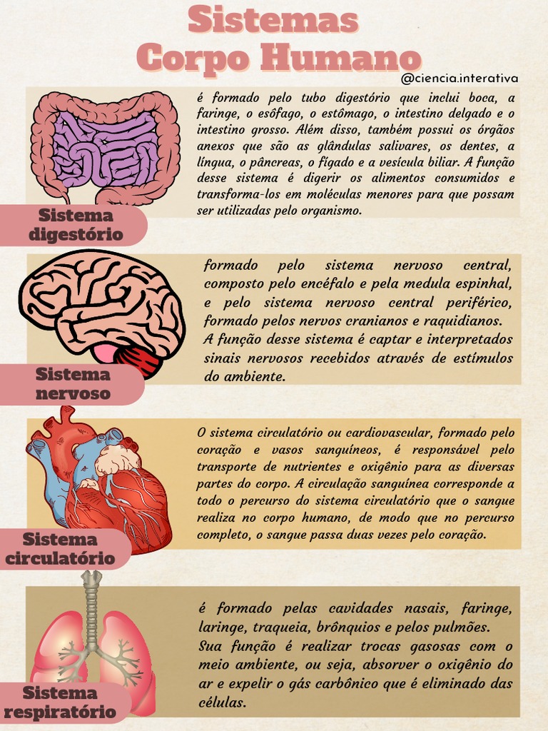 Sistemas Do Corpo Humano | PDF | Ciências e Matemática