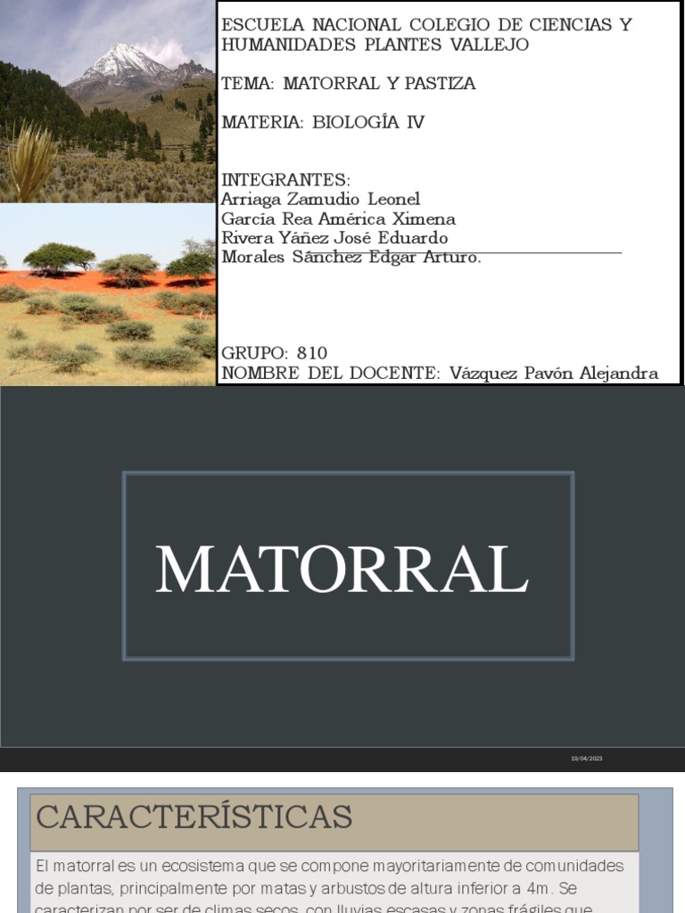 Pastizal y Matorral (Corregido) | PDF | Pradera | Ecosistema