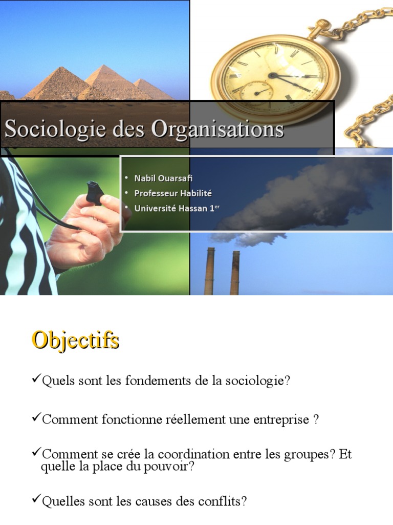 Sociologie des organisations et dynamique sociale | PDF | Sociologie ...