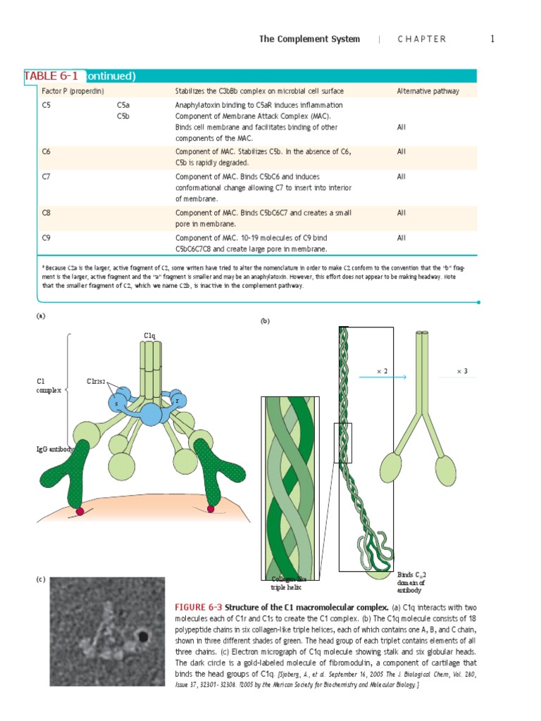 Kuby Immunology 123456 | PDF | Complement System | Biochemistry