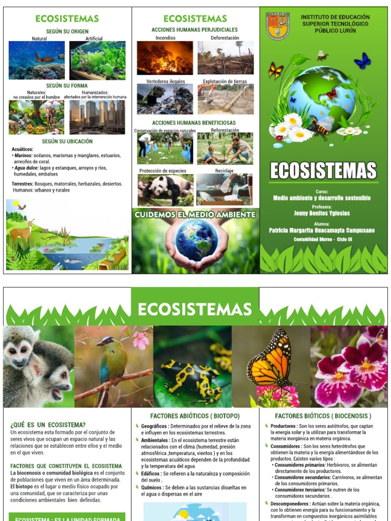 Tríptico Ecosistemas | PDF