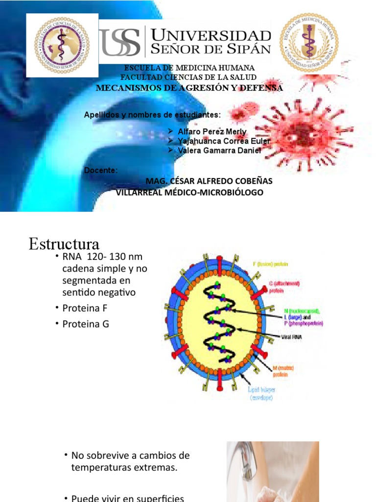 G8 Virus Sincitial Respiratorio Pdf Virus Medicina Clinica