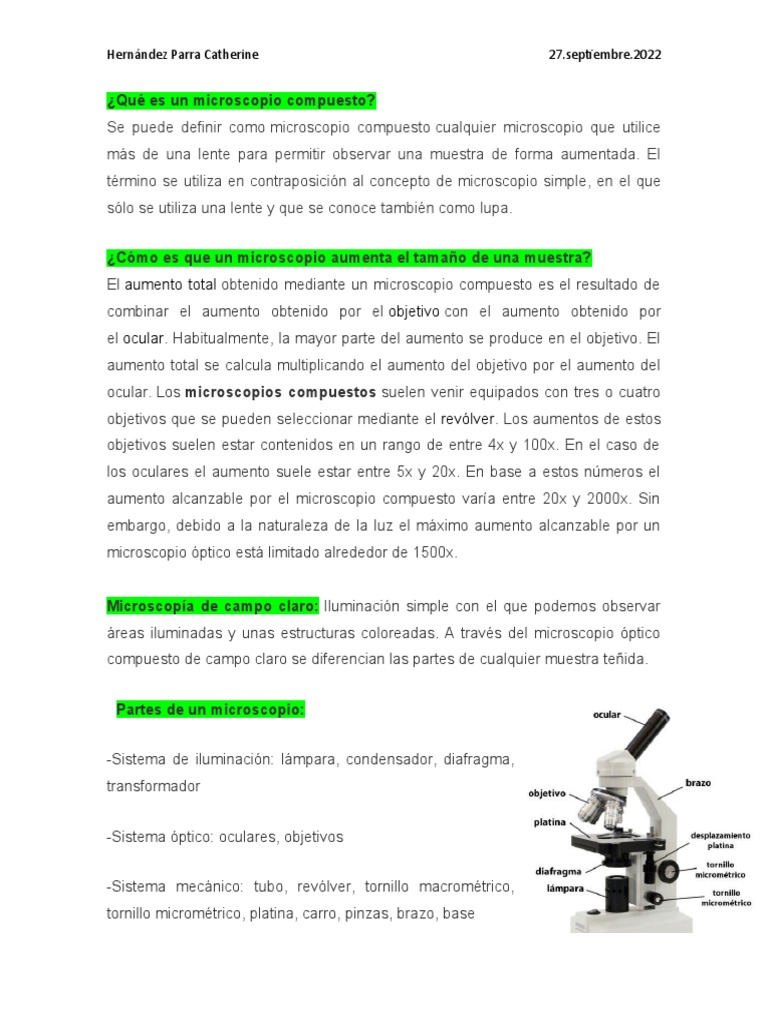 Qué Es Un Microscopio Compuesto | PDF | Microscopio | Óptica