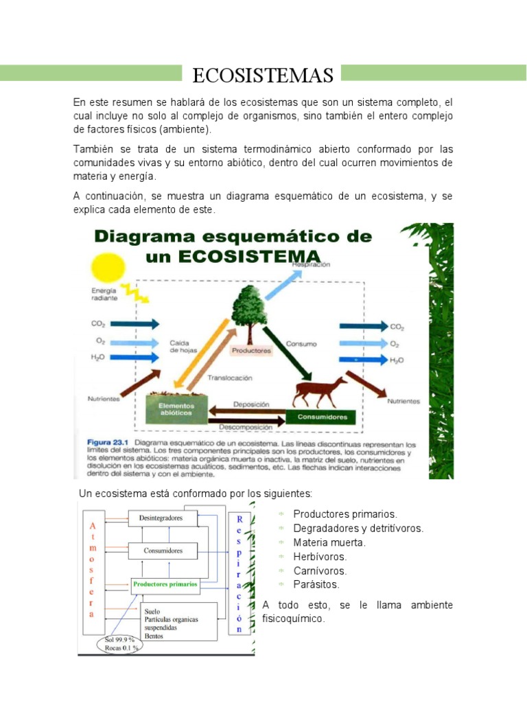 ECOSISTEMAS | PDF | Ecosistema | Red alimentaria