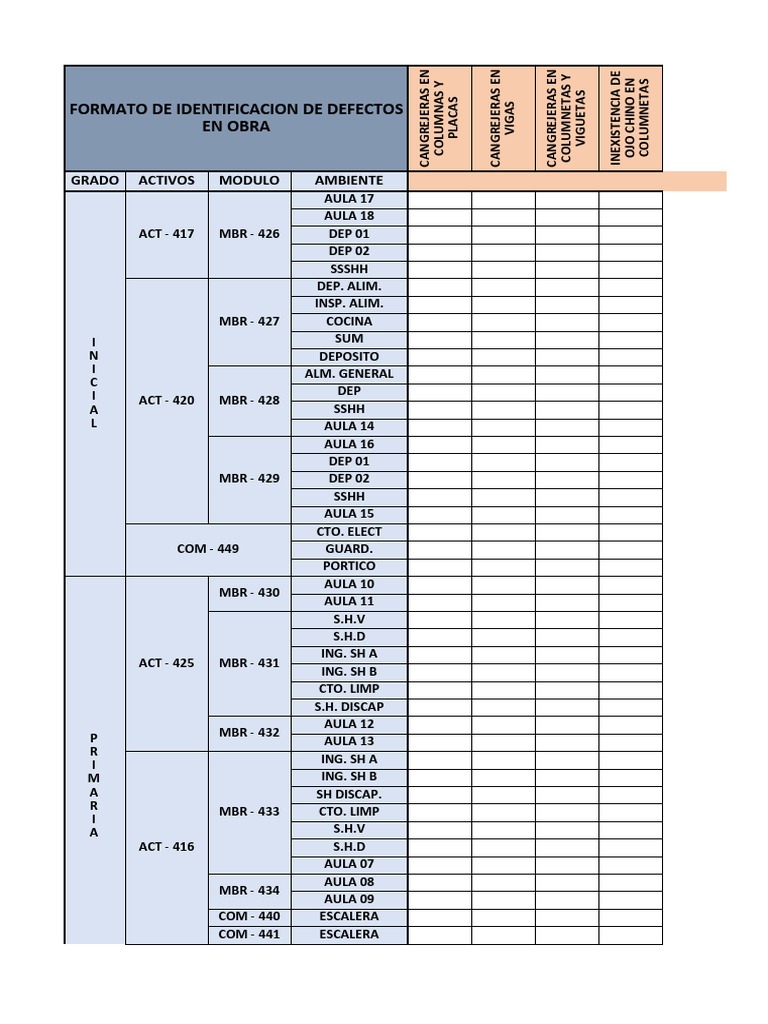 Formato de Identificacion de Defectos | PDF