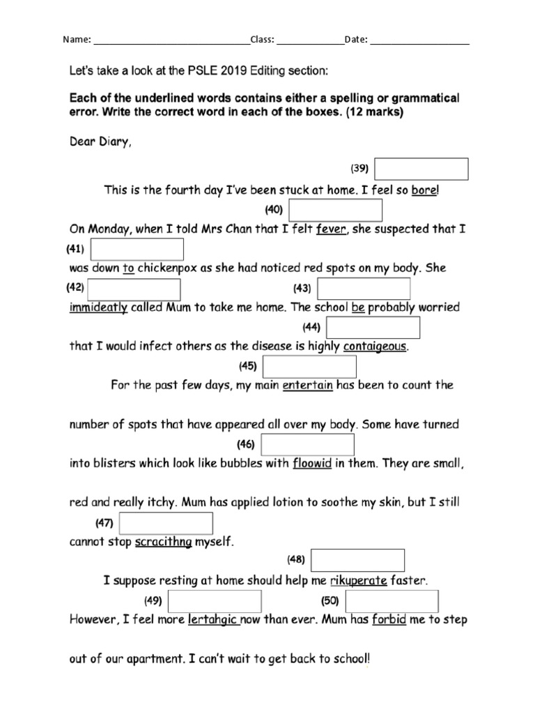 2019 PSLE Editing Practice | PDF