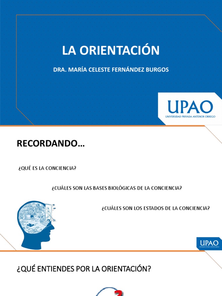 Clase 2 Orientación | PDF | Lóbulo temporal | Memoria