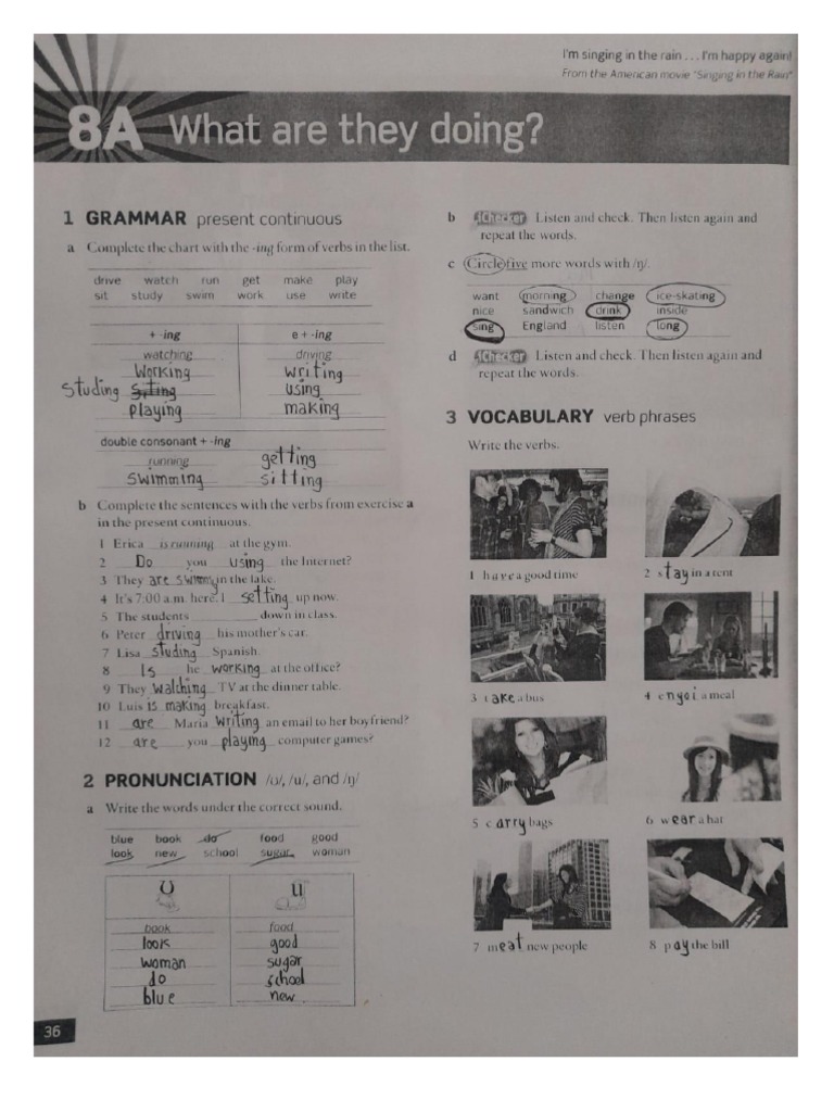 Workbook 8A-CLEYBER BETO PUMA LAURA | PDF
