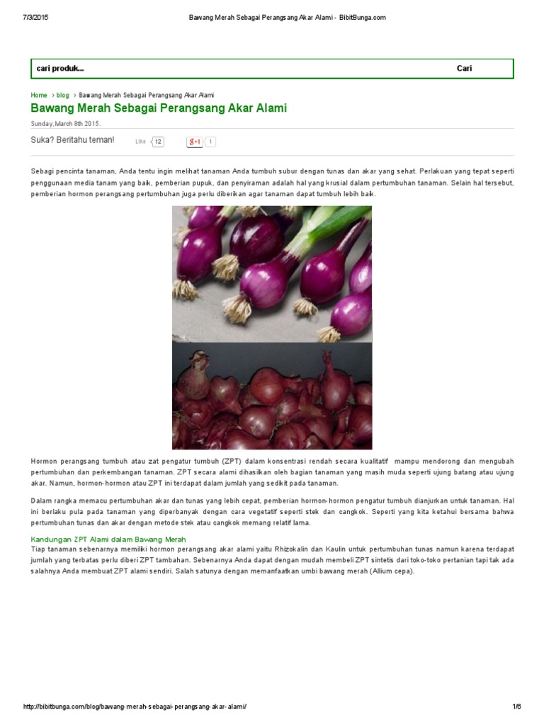 Bawang Merah Sebagai Perangsang Akar Alami - BibitBunga | PDF | Memasak ...