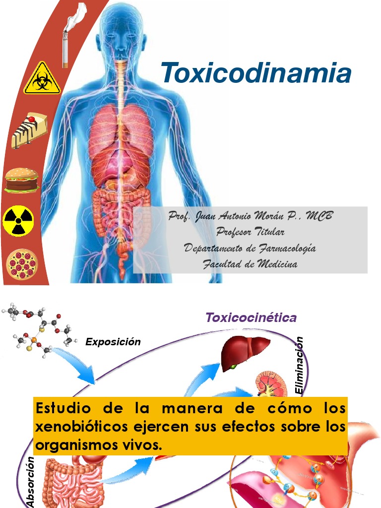 Toxicodinamia General | PDF | Transducción de señales | Toxicidad