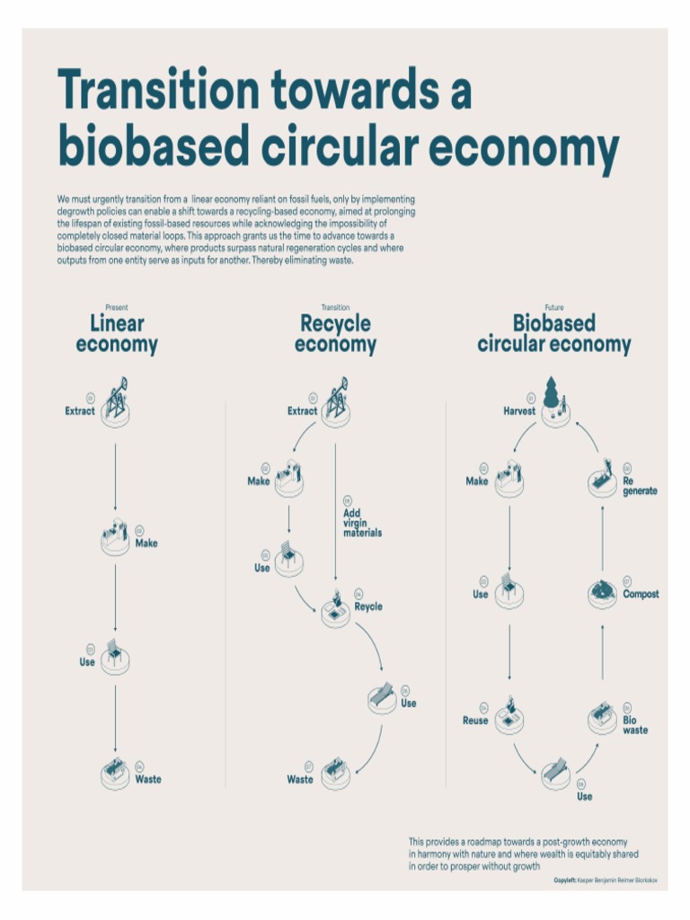 Transition Towards A Biobased Circular Economy 1683610317 | PDF