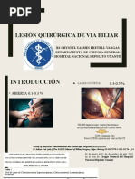 Técnicas de Anastomosis Intestinales | PDF | Cirugía | Digestión