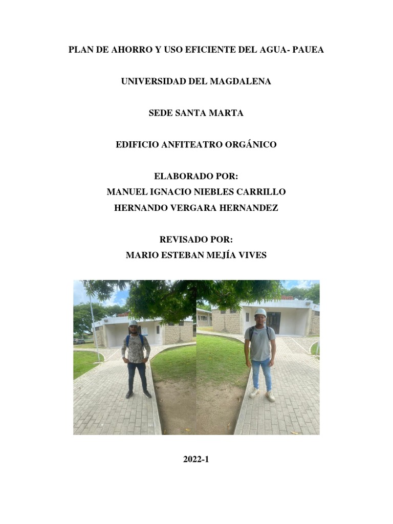 Plan de Ahorro y Uso Eficiente Del Agua - Pauea | PDF | Agua | Consumo (economía)