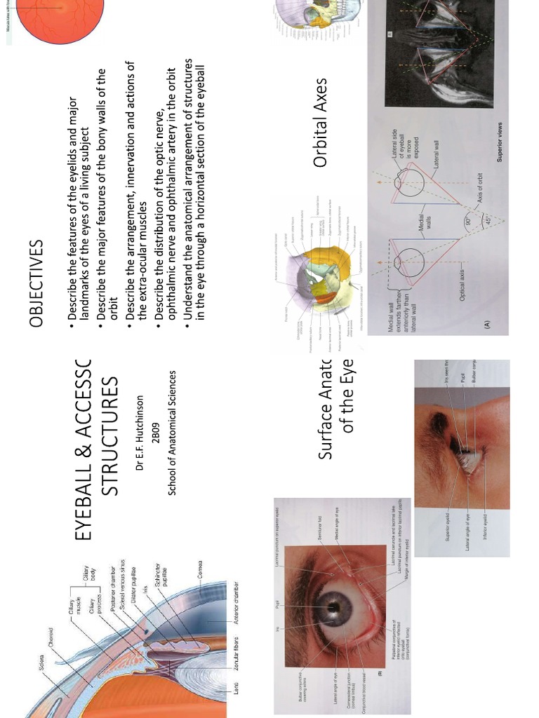 Lecture Slides On Eye | PDF