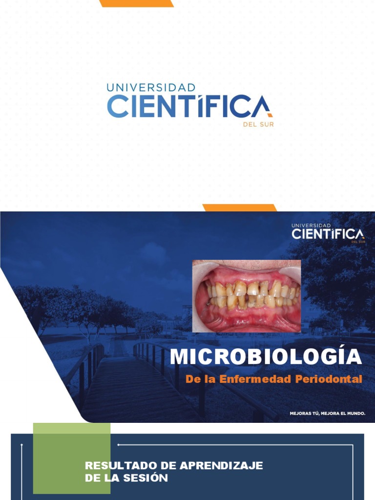 14 CLASE Enfermedad Periodontal 2023 | PDF | Enfermedades y trastornos | Inmunología
