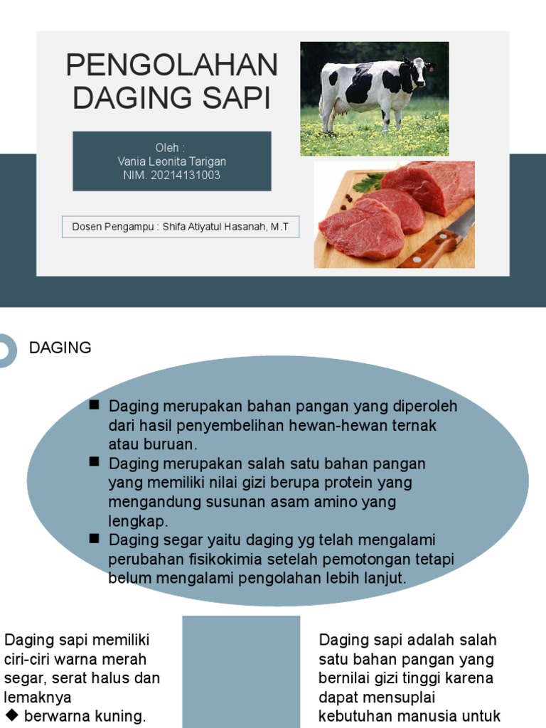 Pengolahan Daging Sapi | PDF