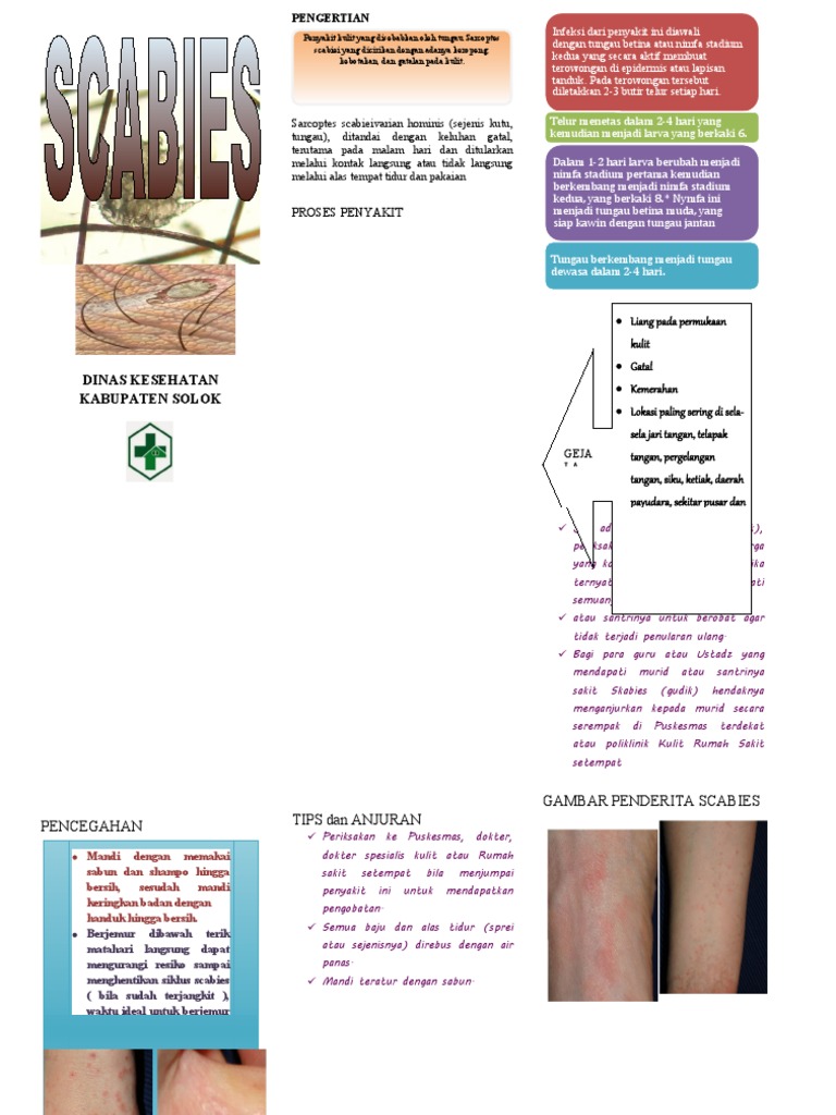 SCABIES | PDF