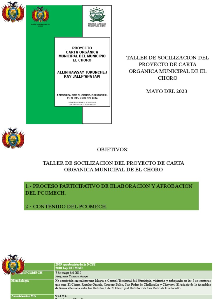 Carta Orgánica Municipal de El Choro | PDF