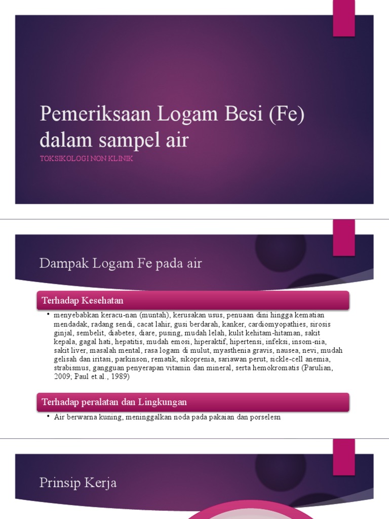 Pemeriksaan Logam Besi (Fe) dalam sampel | PDF