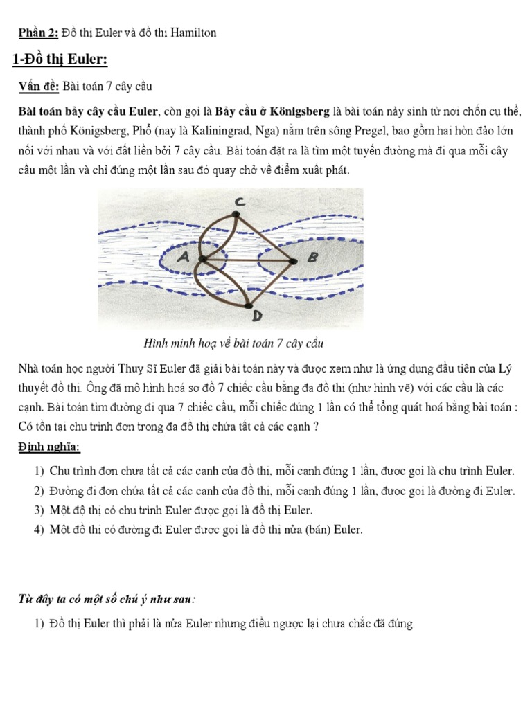 VA Euler-Hamilton | PDF