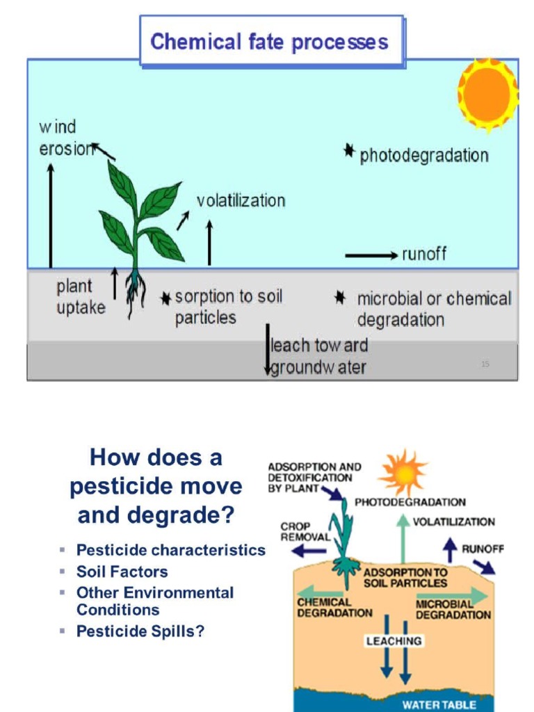 Environmental Fate of Pesticide | PDF