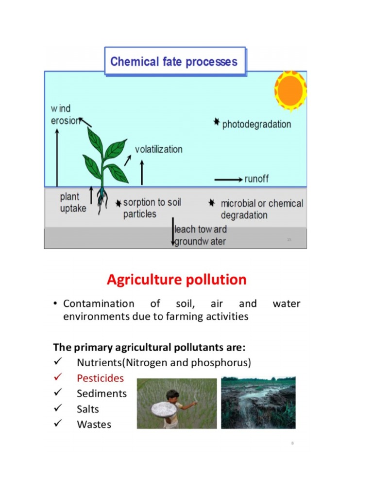 Environmental Fate of Pesticide Picture | PDF