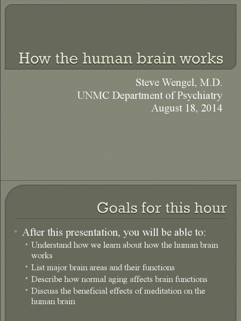 How Human Brain Works | Download Free PDF | Brain | Human Brain